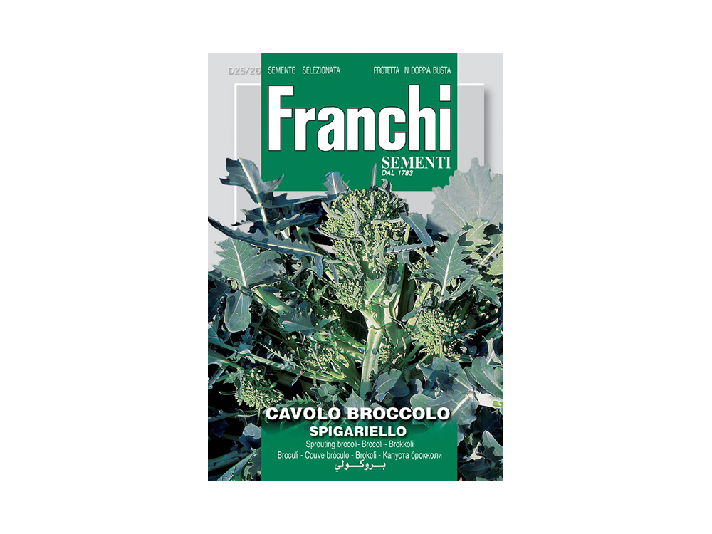 Bloeiende broccoli - Cavolo Broccolo Spigariello - Bloeiende broccoli ...