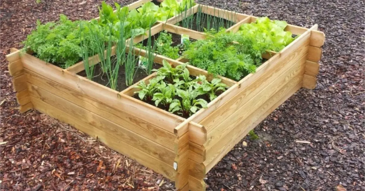 Moestuinbak vierkant - 140 x 140 x 40 cm - Moestuinbak vierkant - 140 x ...